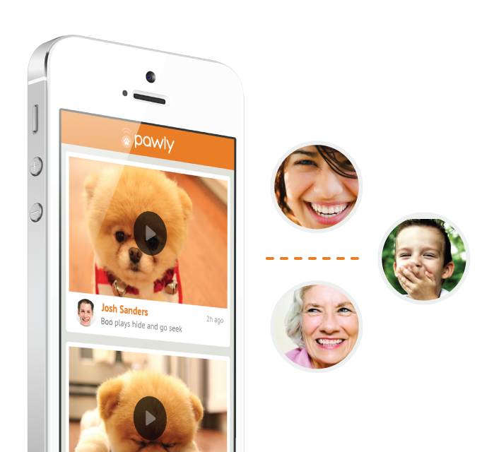 Pawly: Play with your pet anywhere anytime | Indiegogo