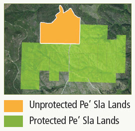 Save Pe' Sla! Black Hills Sacred Land | Indiegogo