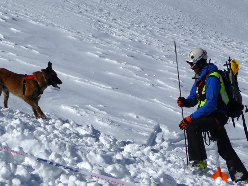 Snowfoot: the radical step in mountain mobility | Indiegogo